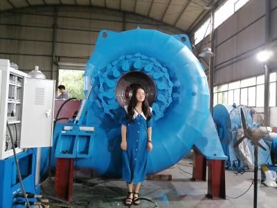 Cina Generatore a turbina ad acqua versatile a colori personalizzati per vari bisogni di energia in vendita