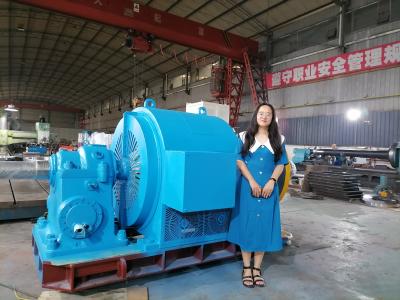 China 50Hz/60Hz Rated Frequency Water Turbine Generator with Advanced Technology for sale
