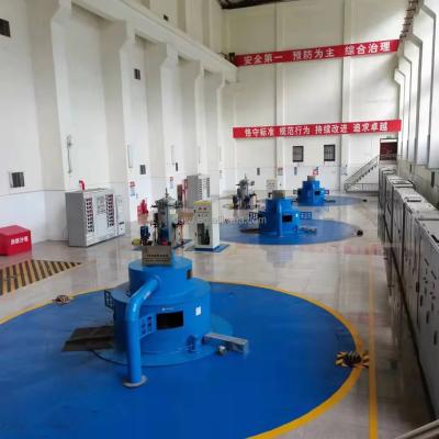 Cina Generatore di turbina ad acqua verticale/orizzontale a tensione personalizzata con pannello di controllo automatico/manuale in vendita