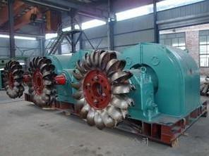 Cina Turbina ad acqua a testa alta in acciaio inossidabile progettata per alti giri 600-1000 giri al minuto in vendita