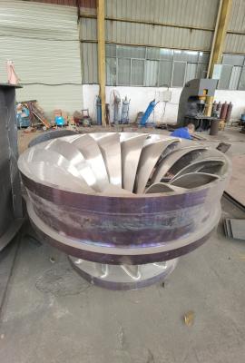 Cina Efficienza Generatore idroturbina Modello personalizzato per teste d'acqua 5m-500m in vendita