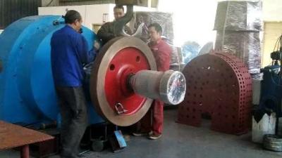 Cina Efficienza Generatore idroturbina Modello personalizzato per teste d'acqua 5m-500m in vendita