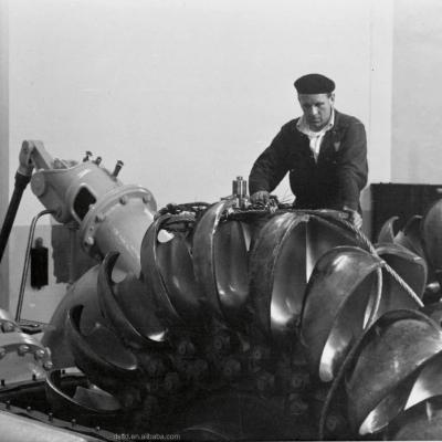 中国 速度 滑らかな水力タービンランナー刃 調整可能な刃の角度とカスタマイズされた/高さ 販売のため