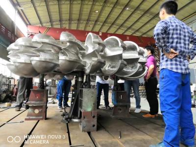 Cina 50Hz/60Hz Frequenza Turbina idroelettrica con lunghezza della lama personalizzata in vendita
