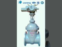 electric gate valves