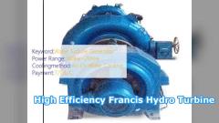 High Efficiency Francis Hydro Turbine Generator 300KW 20MW