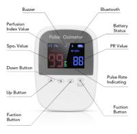 China Fingertip Handheld Pulse Oximeter 3.7V Rechargeable Lithium Battery SpO2 PR Monitor BM1000A for sale
