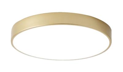 Cina lampade montate di superficie rotonde di 600mm LED 3000K 4500K 6000K in vendita