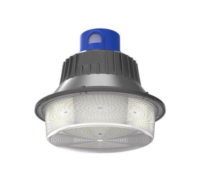 Cina 1000 lumi di 300W di luci alimentate solari all'aperto del giardino in vendita