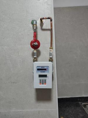 Customized Self-routering Meshwork Blood Glucose Test Meter for Personalized Monitoring
