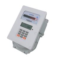 China IP68 G2.5 Wireless Prepaid Gas Meter with STS Keypad and Remote Reading for sale