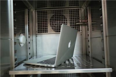 China Controlled Humidity Chamber / Temperature Humidity Chamber Custom Made for sale