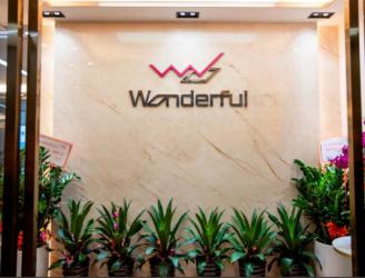 China Factory - WONDERFUL SEMICONDUCTOR（HONG KONG）CO.，LIMITED