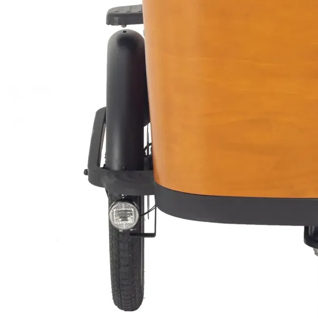 Electric Cargo Bike for Carrying Kids and Pets with CE