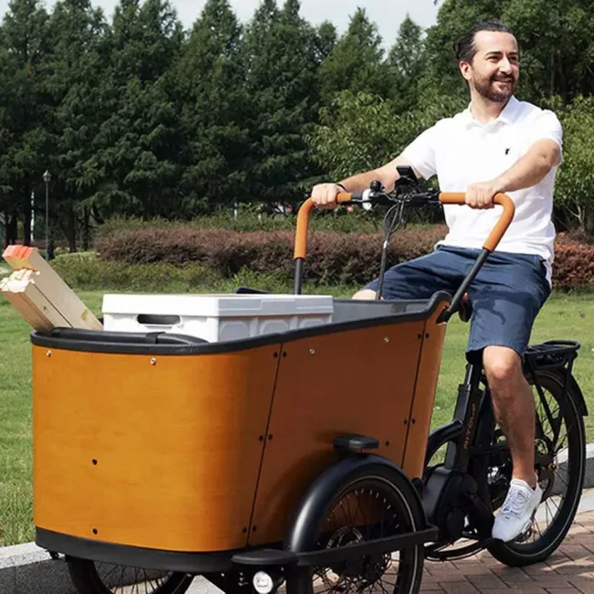 Electric Cargo Bike for Carrying Kids and Pets with CE