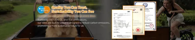Electric Cargo Bike for Carrying Kids and Pets with CE