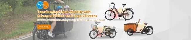 Electric Cargo Bike 250W 7-Speed Cargo Bicycle with Large Capacity Family Bicycle