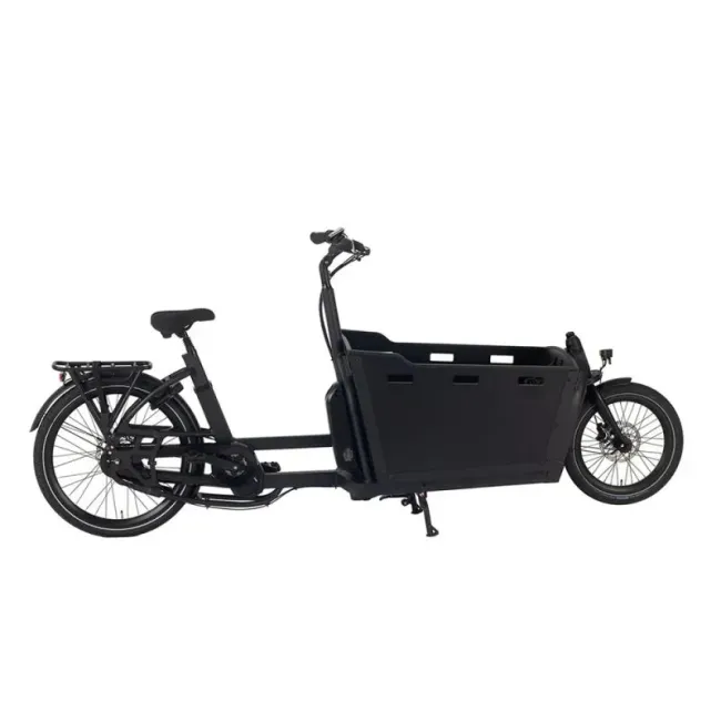 250W Pedal-Assist Family Bike OEM Cargo Bicycle 2 Wheel Ecargo Bike