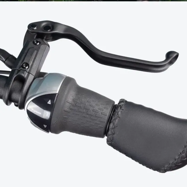 250W Pedal-Assist Family Bike OEM Cargo Bicycle 2 Wheel Ecargo Bike