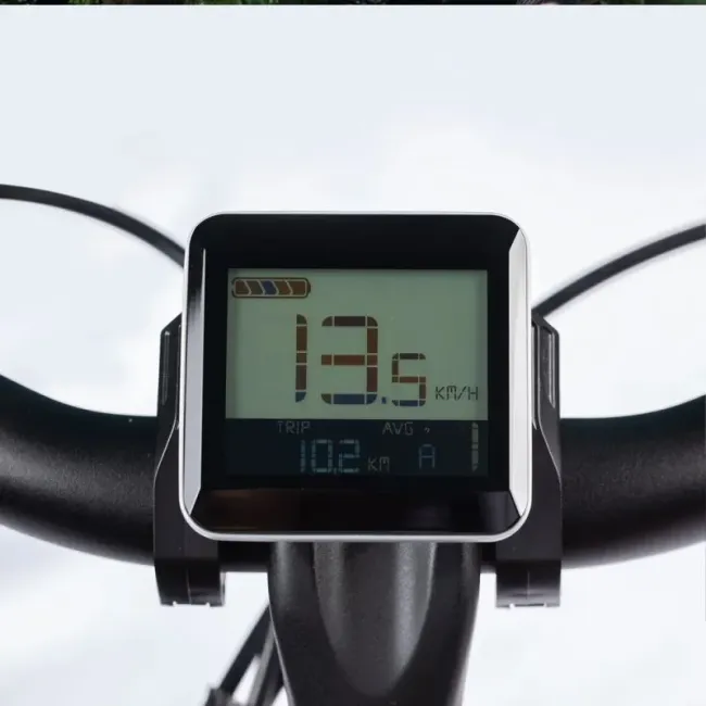 250W Pedal-Assist Family Bike OEM Cargo Bicycle 2 Wheel Ecargo Bike