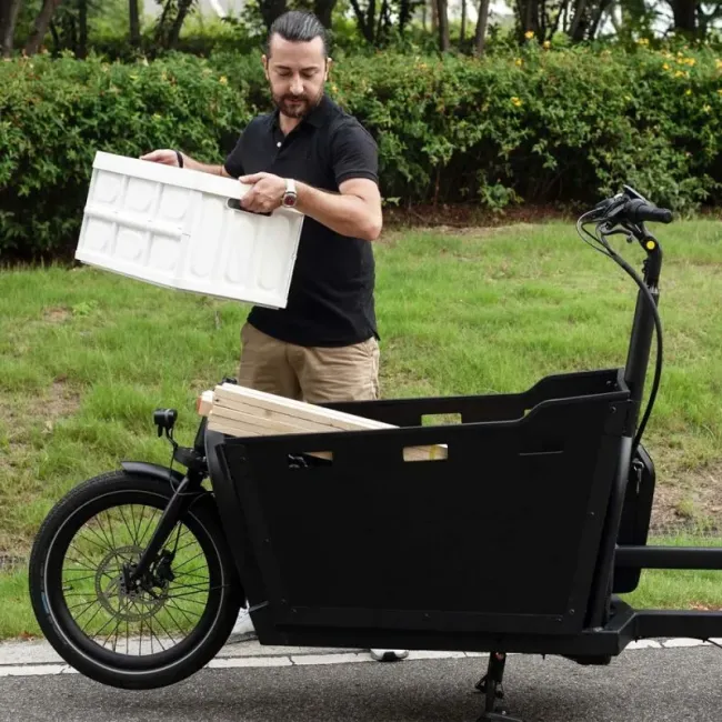 250W Pedal-Assist Family Bike OEM Cargo Bicycle 2 Wheel Ecargo Bike