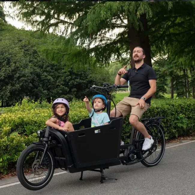 Pedal-Assist Family E Cargo Bike for Carrying Kids and Pets Ebike Electric Cargo Bicycle