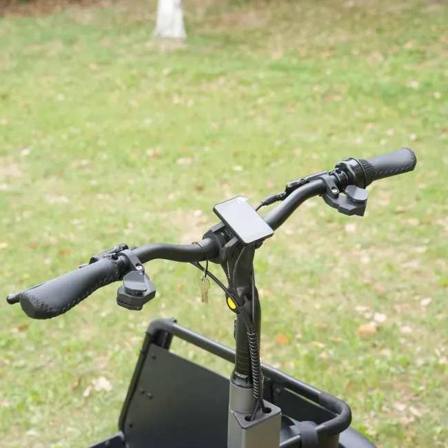 Comfortable Ride Ebike Electric Cargobike with En15194 Good Price