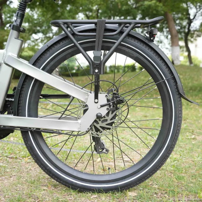 High Quality Electric Cargobike Trike CE Approved 200-250W Stable Low Centre