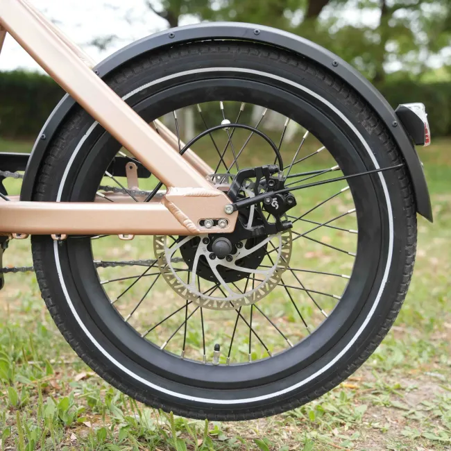Ruggedized Cargo E Bike with Impact-Resistant Frame and Tough Wheels
