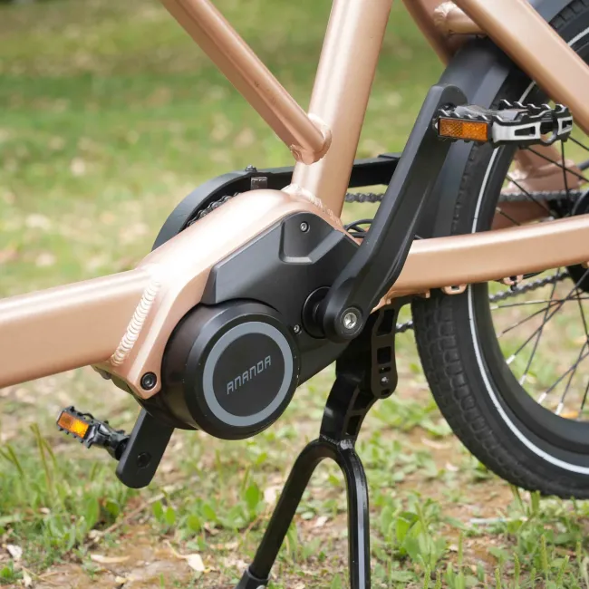 Efficient Cargo E Bike with Karasawa Automatic Internal Gear System