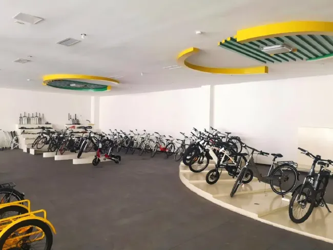 Efficient Cargo E Bike with Karasawa Automatic Internal Gear System