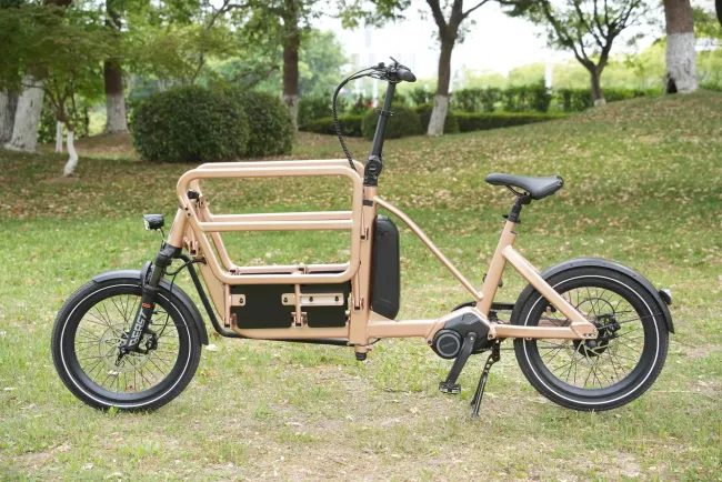 Versatile Cargo E Bike with 3 Speed Gear Hub for Urban Commutes