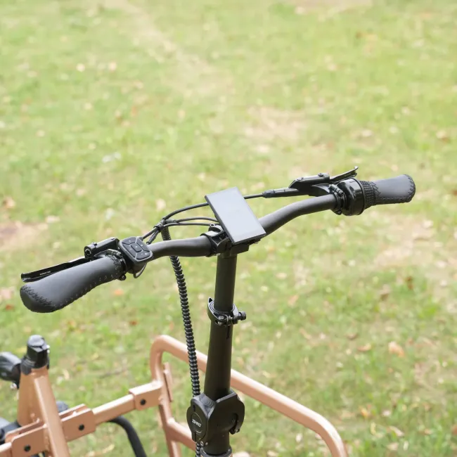 Versatile Cargo E Bike with 3 Speed Gear Hub for Urban Commutes