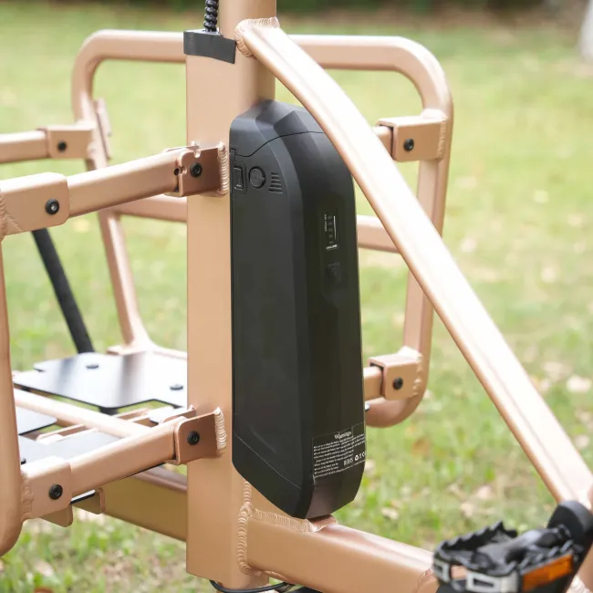 Versatile Cargo E Bike with 3 Speed Gear Hub for Urban Commutes