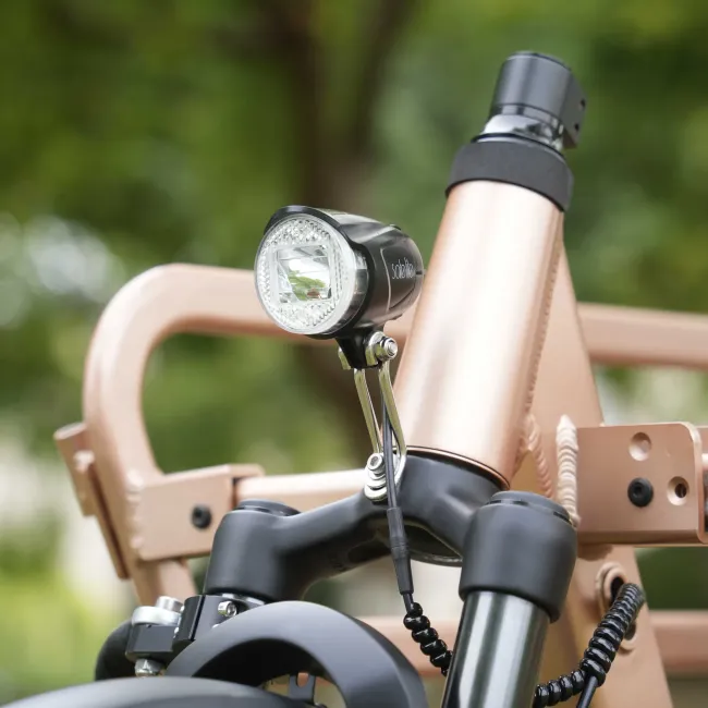 Versatile Cargo E Bike with 3 Speed Gear Hub for Urban Commutes