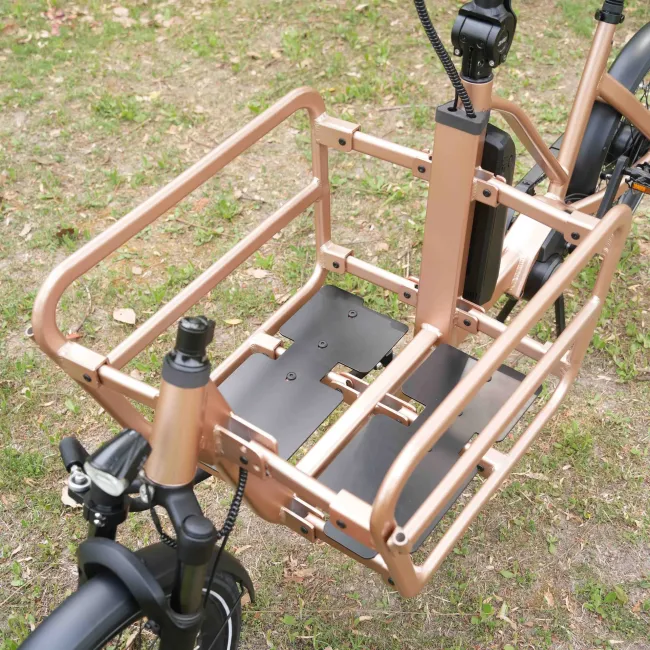 Versatile Cargo E Bike with 3 Speed Gear Hub for Urban Commutes