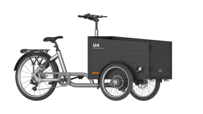 Durable Electric Cargo Trike for Family and Heavy Loads