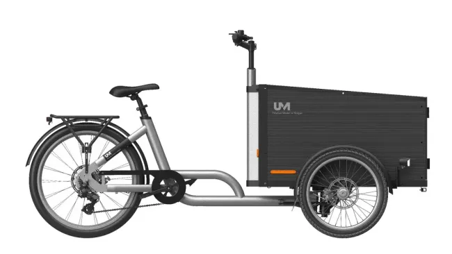 Family-Friendly Trike E-Bike for Urban Mobility and Cargo Hauling