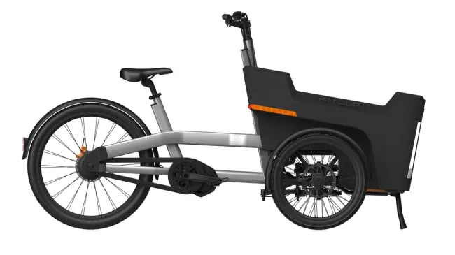 Practical Cargo E-Bike for Family Outings and Storage