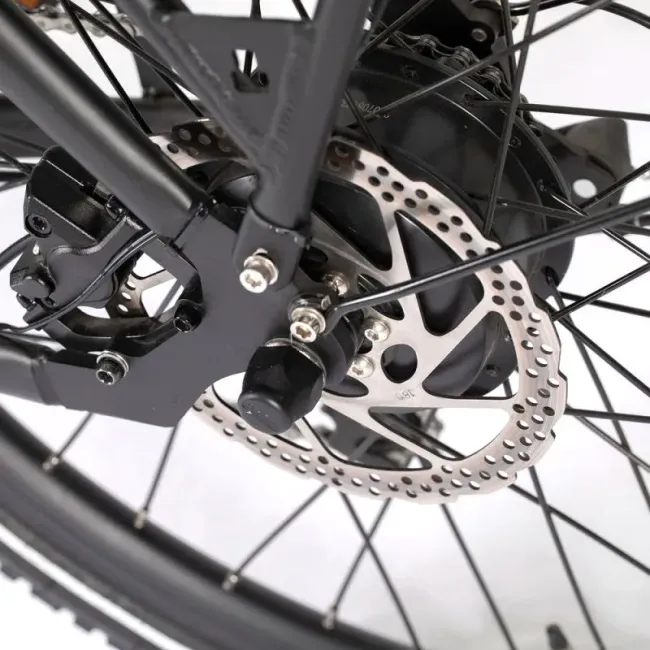 Versatile Electric Bakfiets with Safe Hydraulic Disc Braking