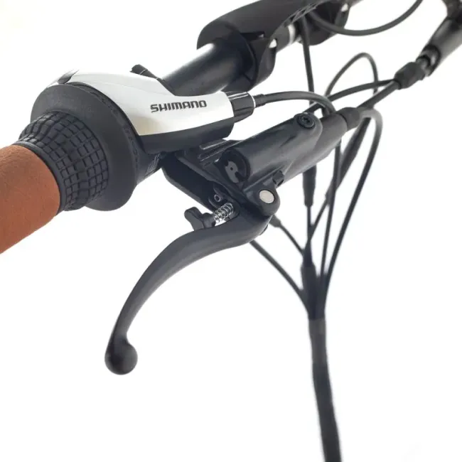 Versatile Electric Bakfiets with Safe Hydraulic Disc Braking