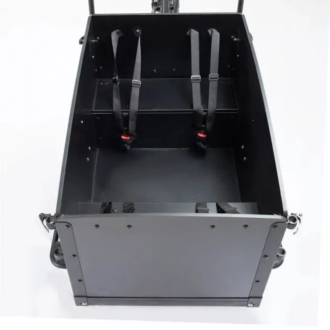 Reliable Electric Cargobike Bakfiet with Long-Range Battery for Family Adventures