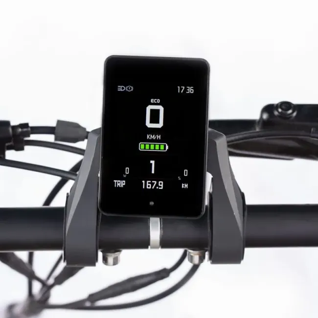 Reliable Electric Cargobike Bakfiet with Long-Range Battery for Family Adventures
