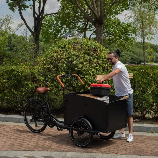 Reliable Electric Cargobike Bakfiet with Long-Range Battery for Family Adventures
