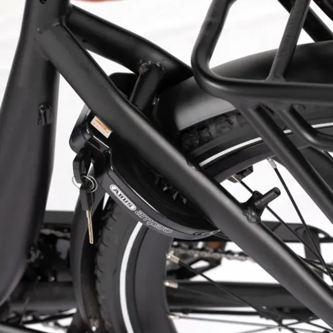 Family-Friendly Electric Cargobike Bakfiet with Room for Children and Groceries