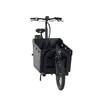 Quality 2 Wheel Cargo E Bike Family-Friendly Cargo Bicycle with Electric Assist for sale