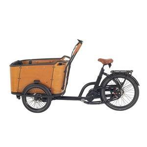 China Electric Cargo Bike for Carrying Kids and Pets with CE for sale