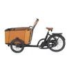 Quality Electric Cargo Bike for Carrying Kids and Pets with CE for sale