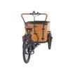 Quality Electric Cargo Bike for Carrying Kids and Pets with CE for sale