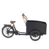 Quality Electric Cargo Bike 20/26 Inch Three Wheel Cargo E Bicycle Large Capacity for sale